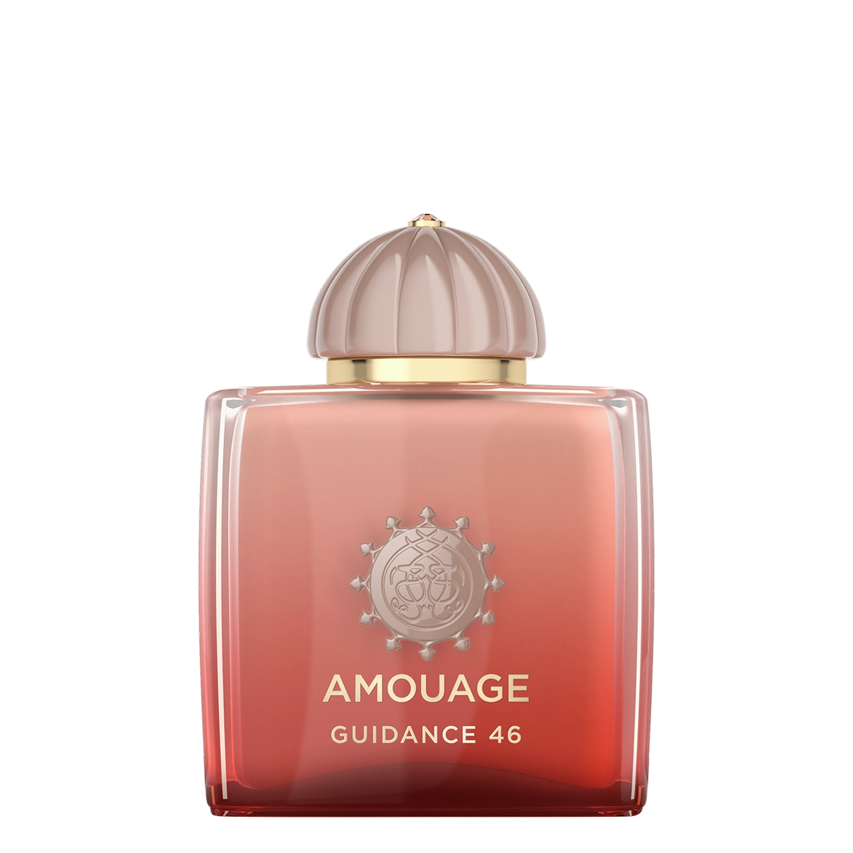 Guidance 46 Exceptional Extrait 100 ml by Amouage | Agoratopia